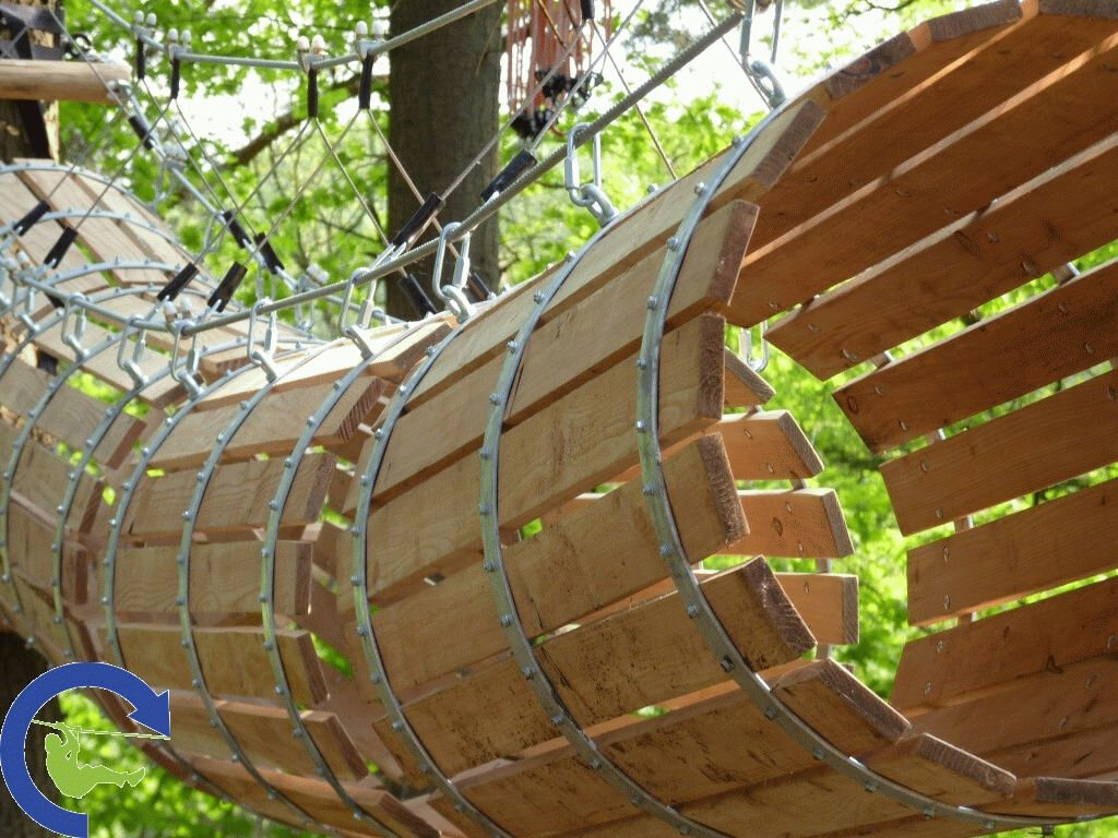 Skywalker to build special forest ropes course for youngsters ...